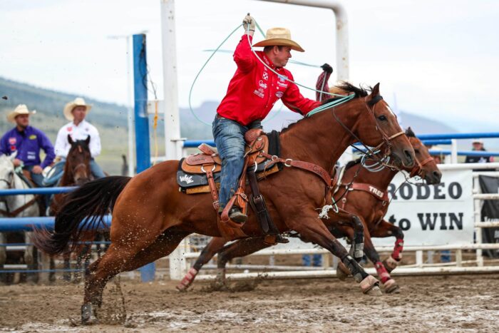 Best Ever Pads | Saddle Pads Made in the USA