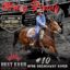 Macy Young NFR Saddle Pad - Best Ever Pads