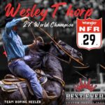 Ultimate Guide to Team Roping